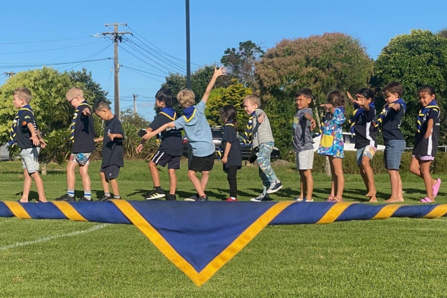 New Lynn Sea Scouts | Home